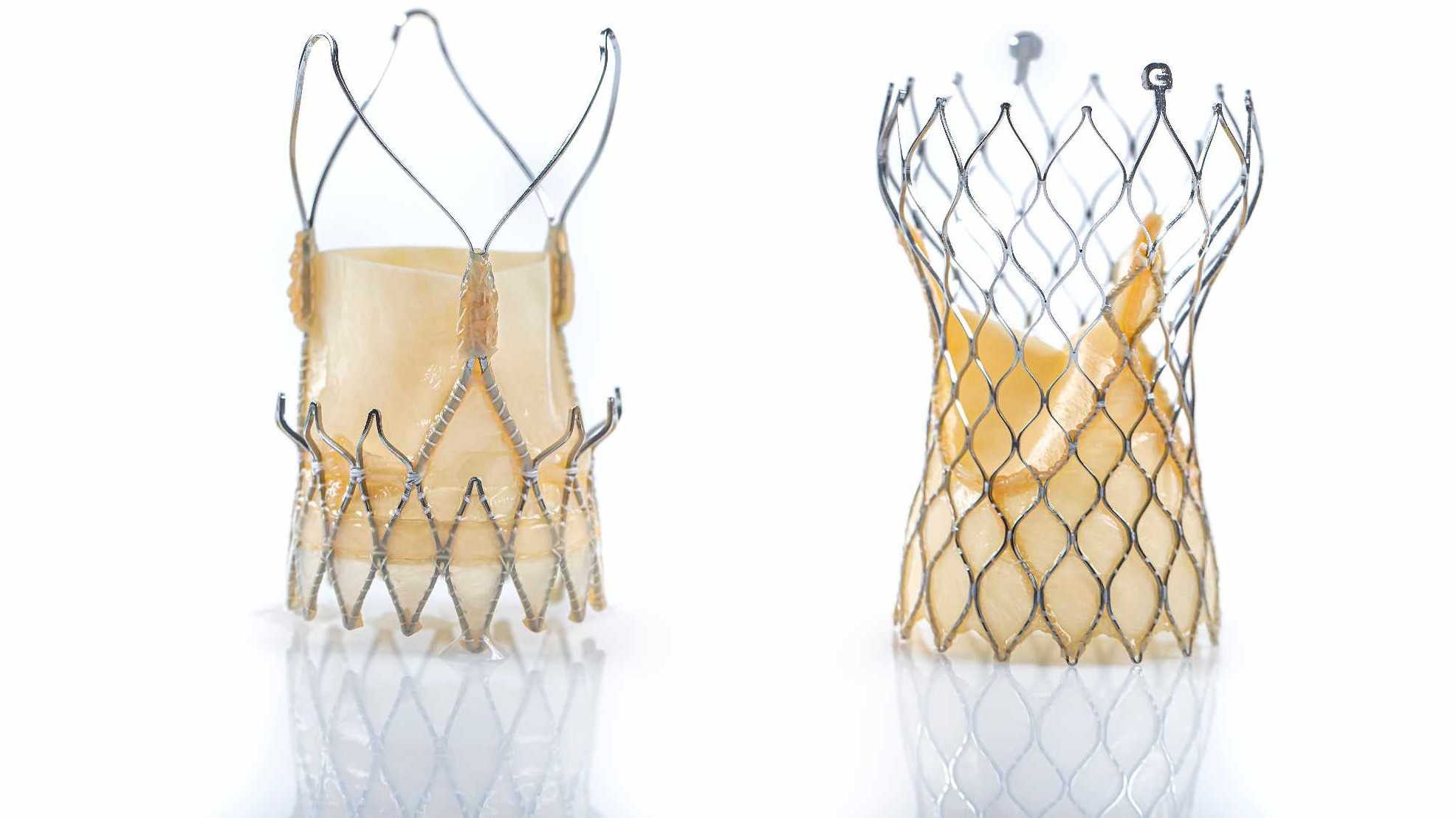 Valve autoexpandabile – Aortic.ro